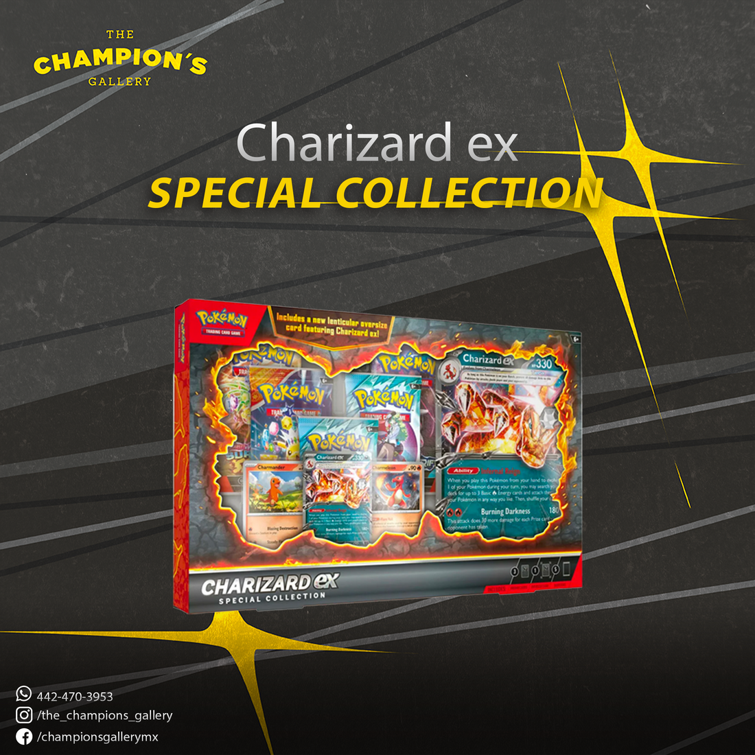 Charizard ex Special Collection – The champion's gallery