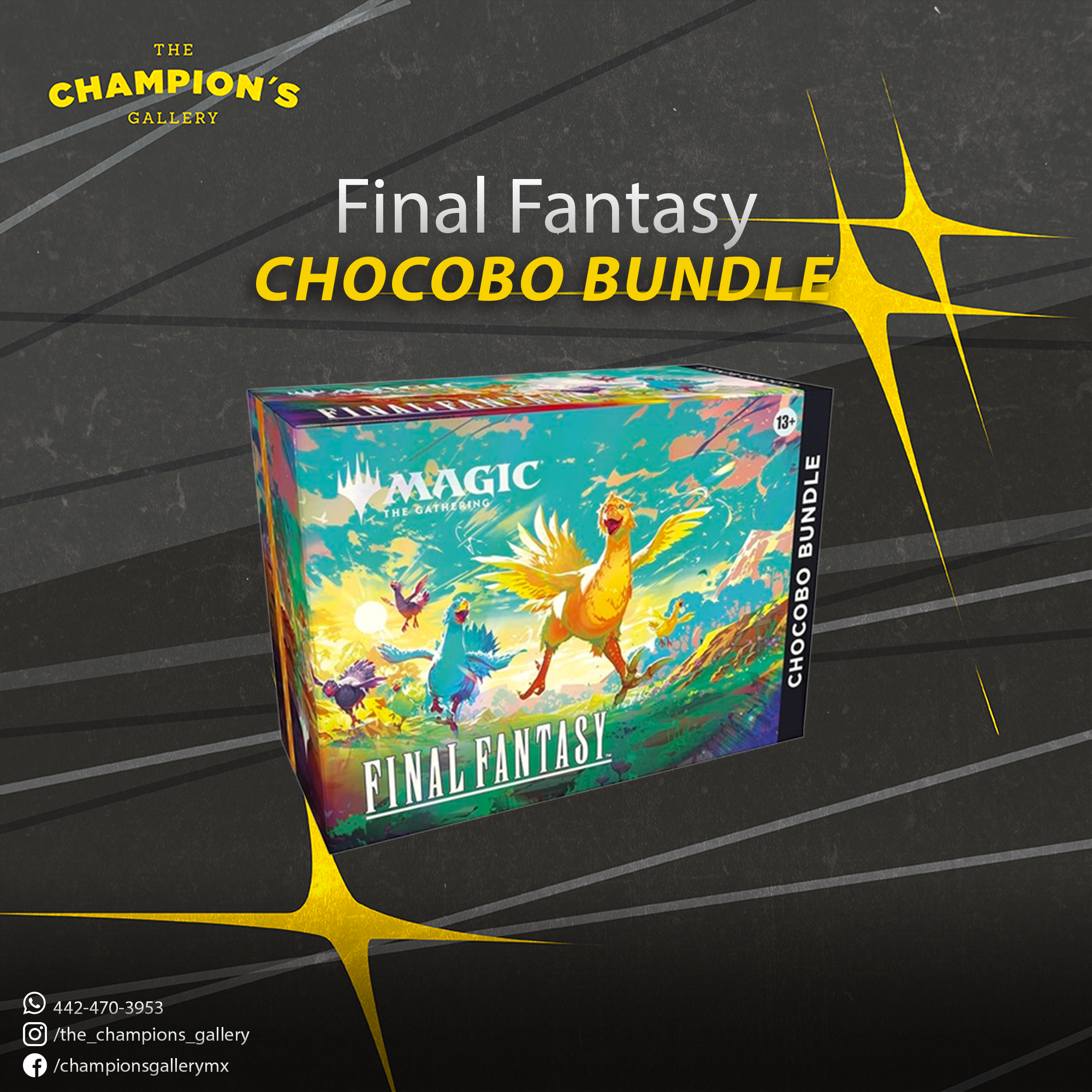 Chocobo bundle - Final fantasy – The champion's gallery
