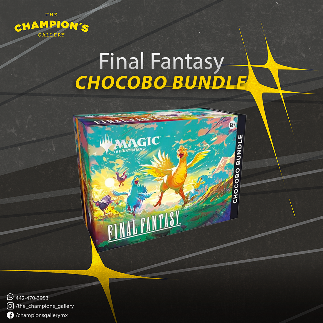 Chocobo bundle - Final fantasy – The champion's gallery